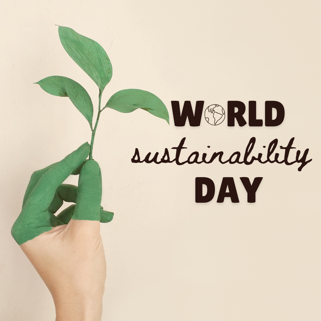 World Sustainability Day | Eco Cheeks