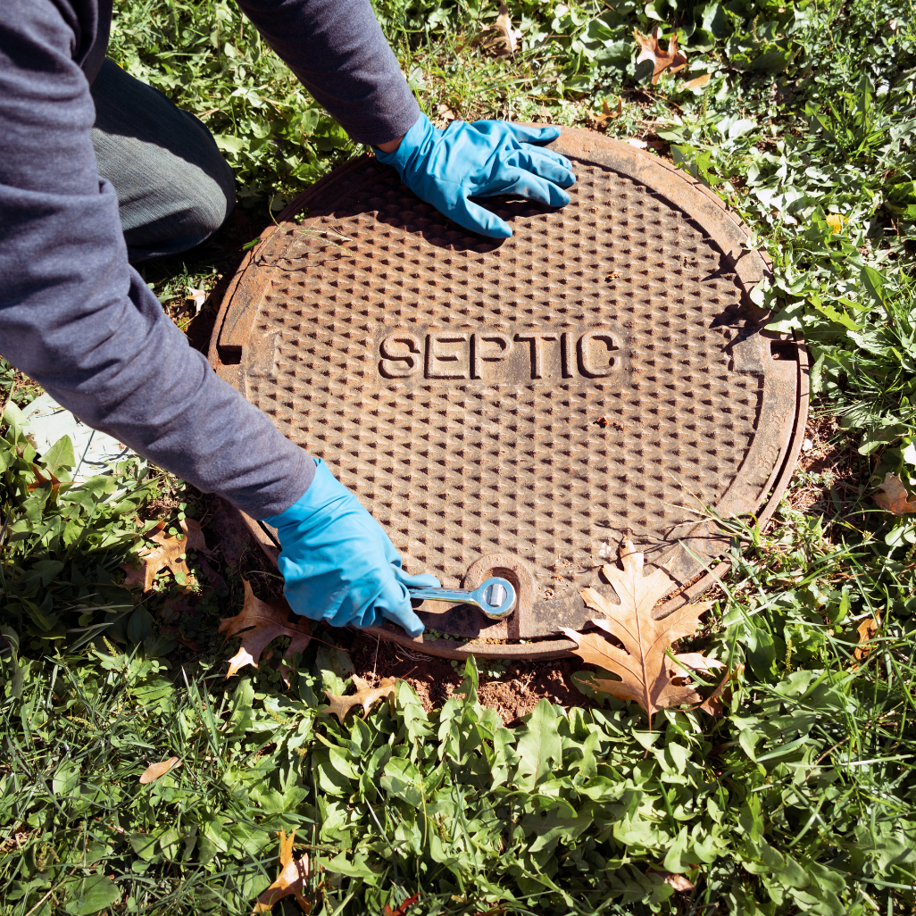 Top Septic-Safe Toilet Papers | Eco Cheeks